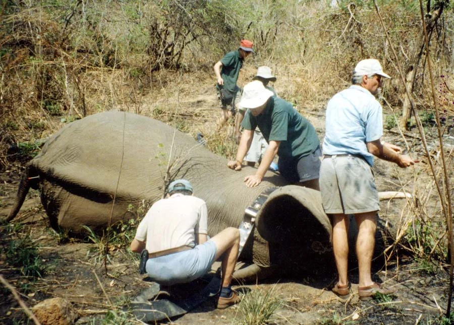 Projects — The Zambezi Society