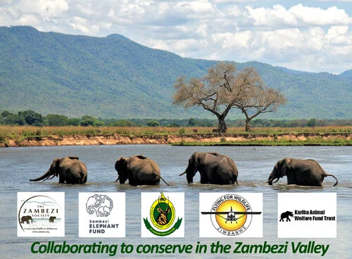 Projects — The Zambezi Society