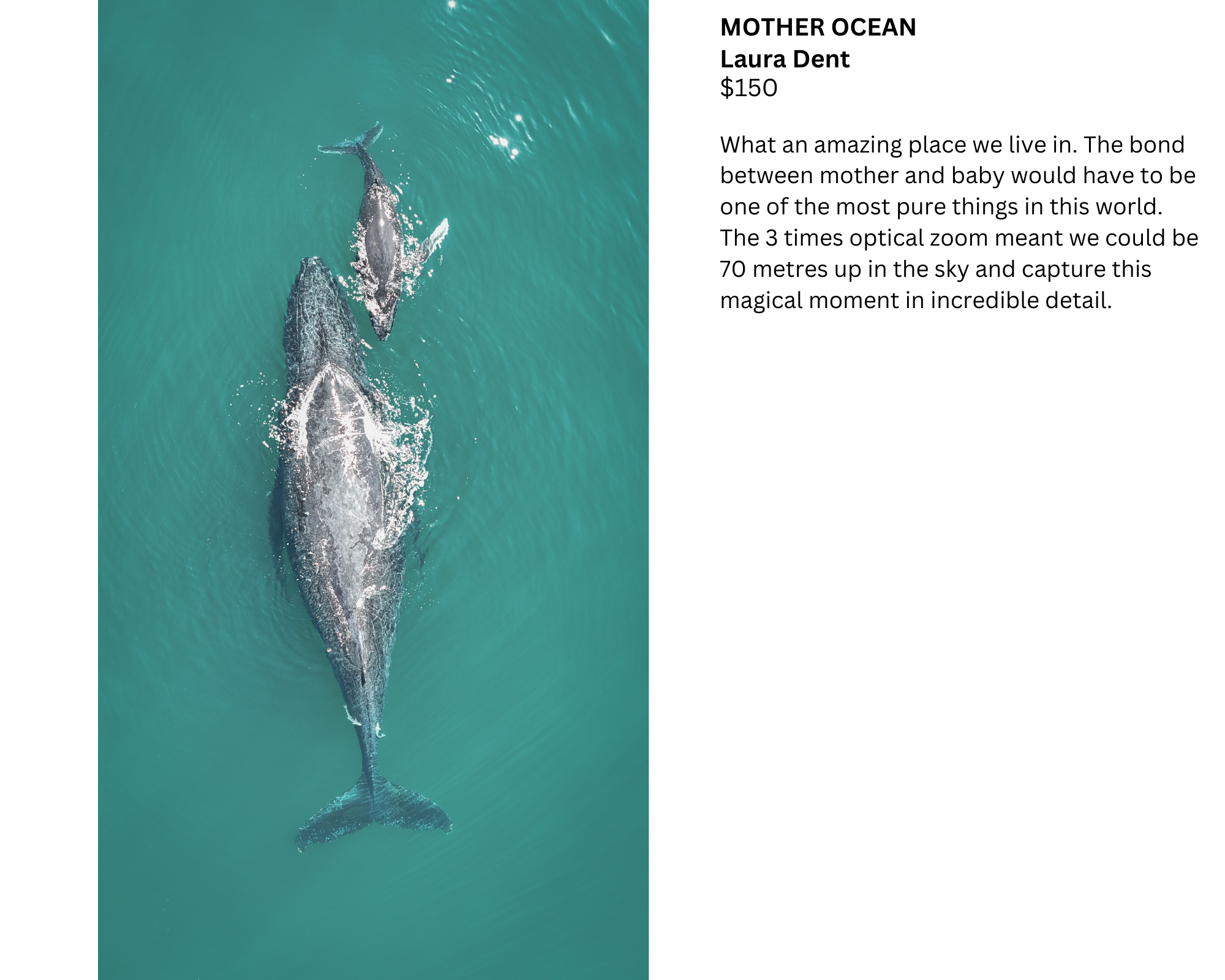 Dampier Photography Awards — Dampier Community Association