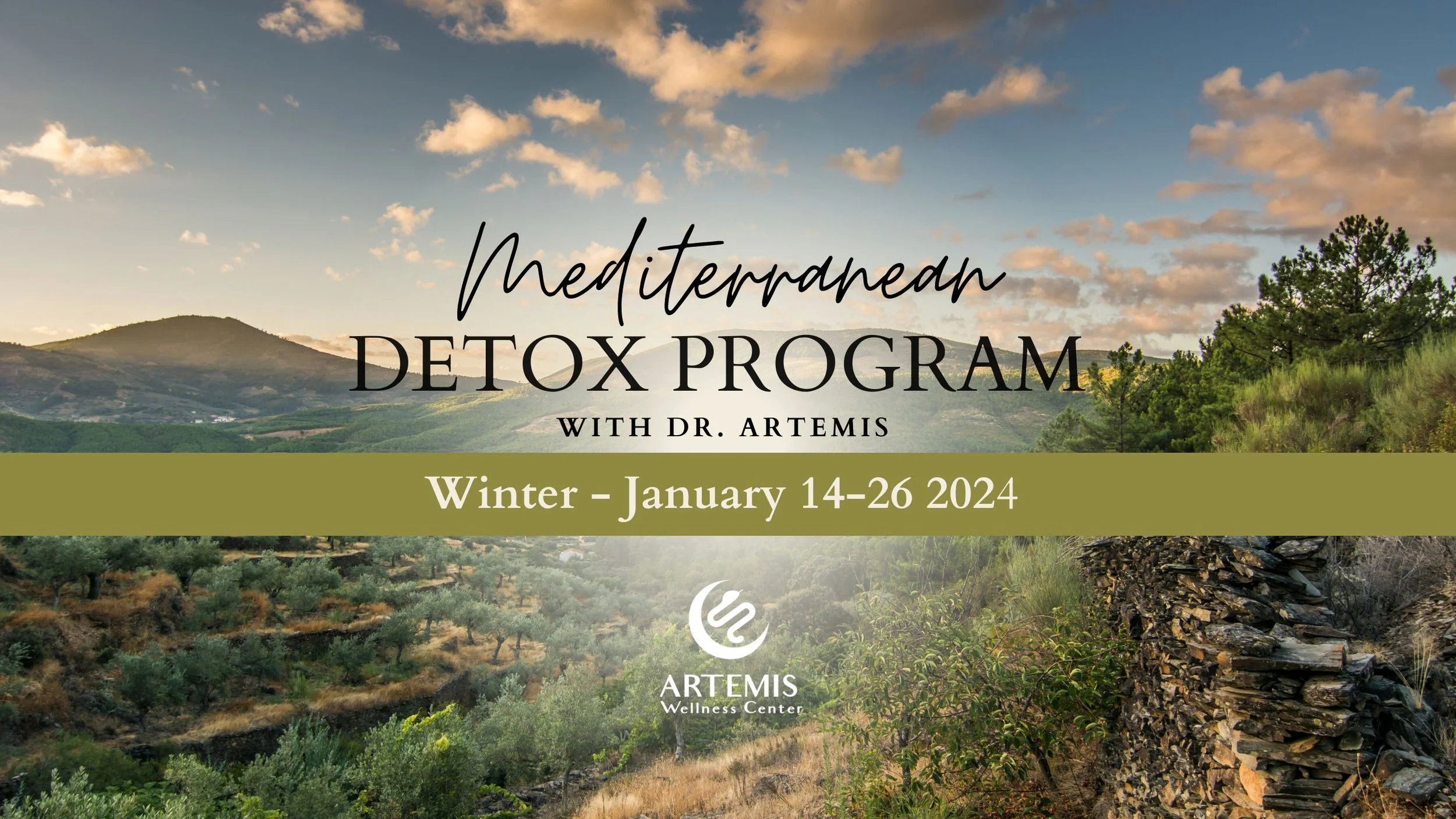 Mediterranean Detox Program — Artemis Wellness Center