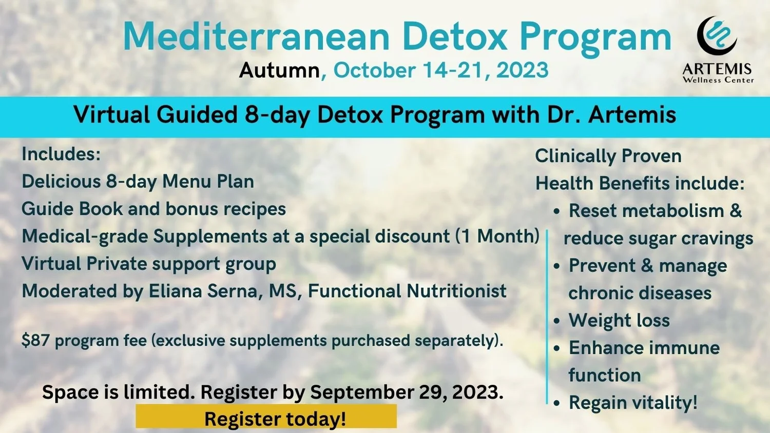 Mediterranean Detox Program — Artemis Wellness Center