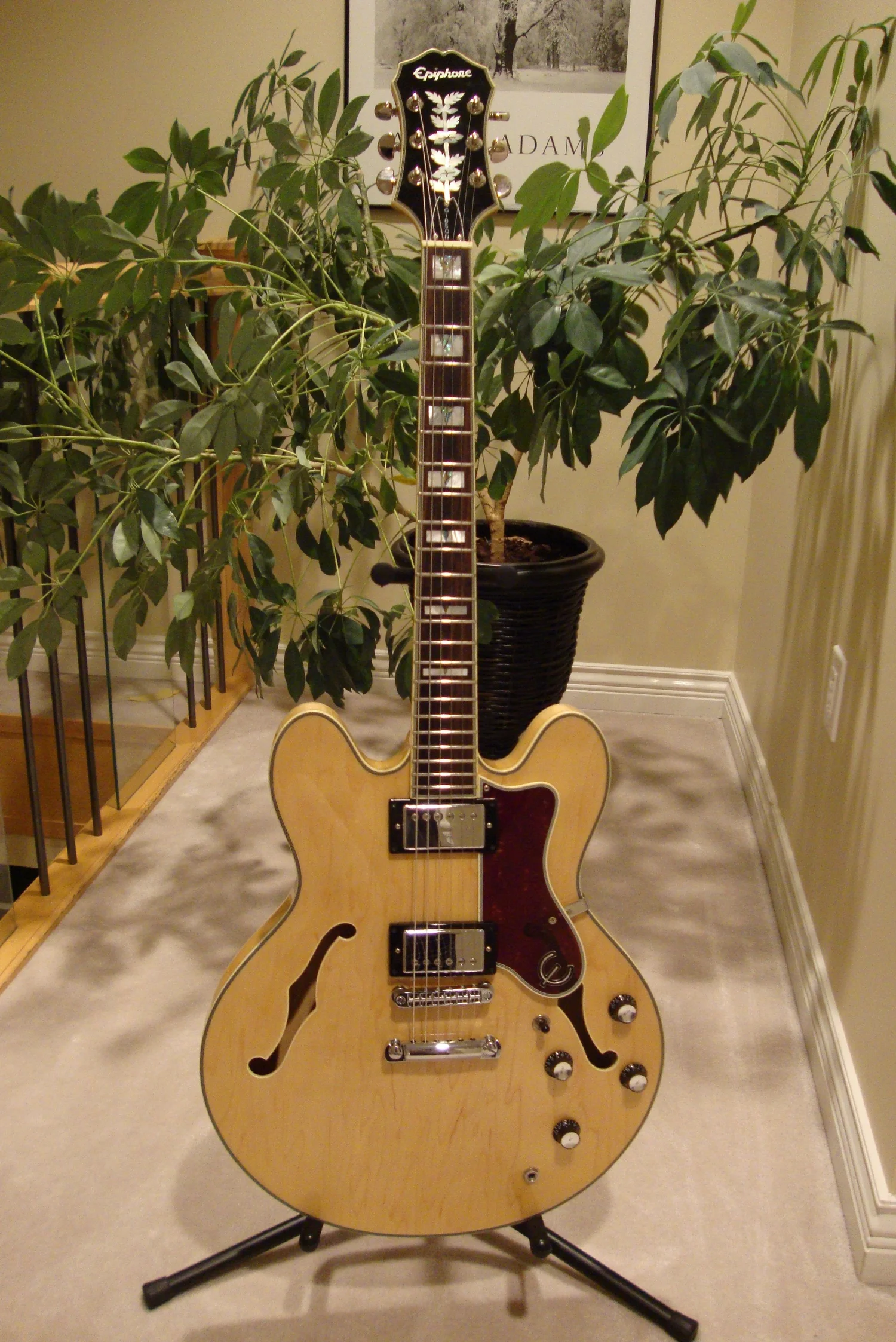 StayTuned Custom Shop