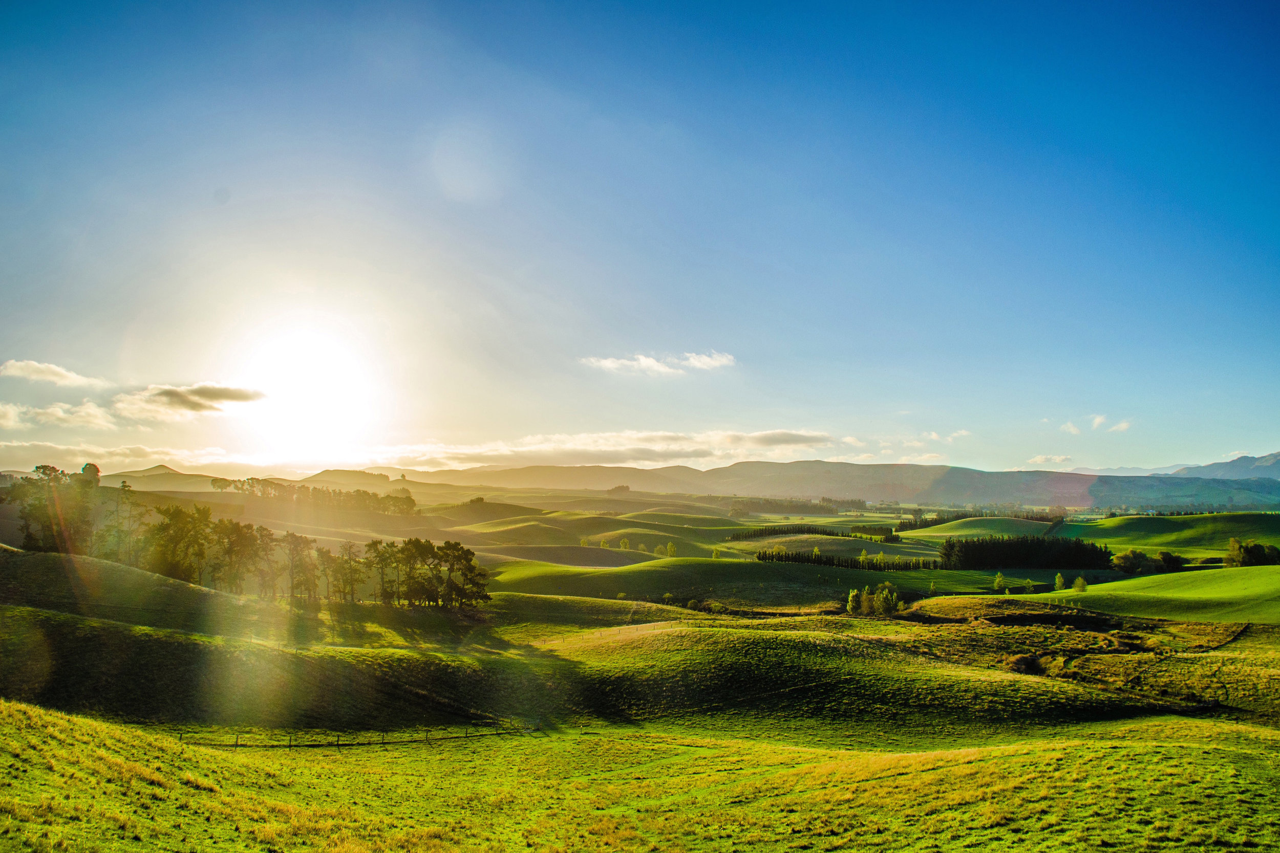 Bed & Breakfasts — Welcome to Cheviot, New Zealand!