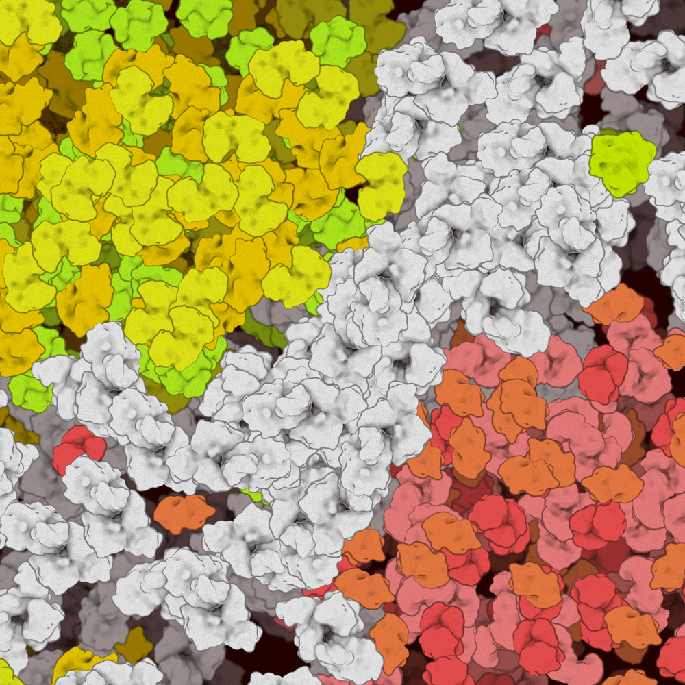 Zwicker Group — Biomolecular condensates