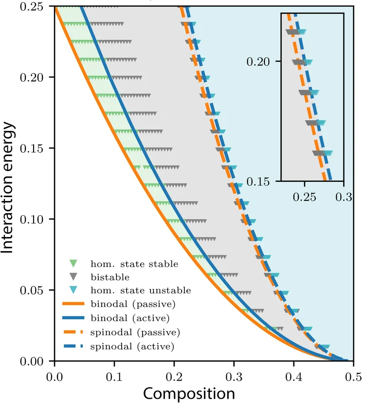 Zwicker Group — Paper on nucleation of chemically active droplets