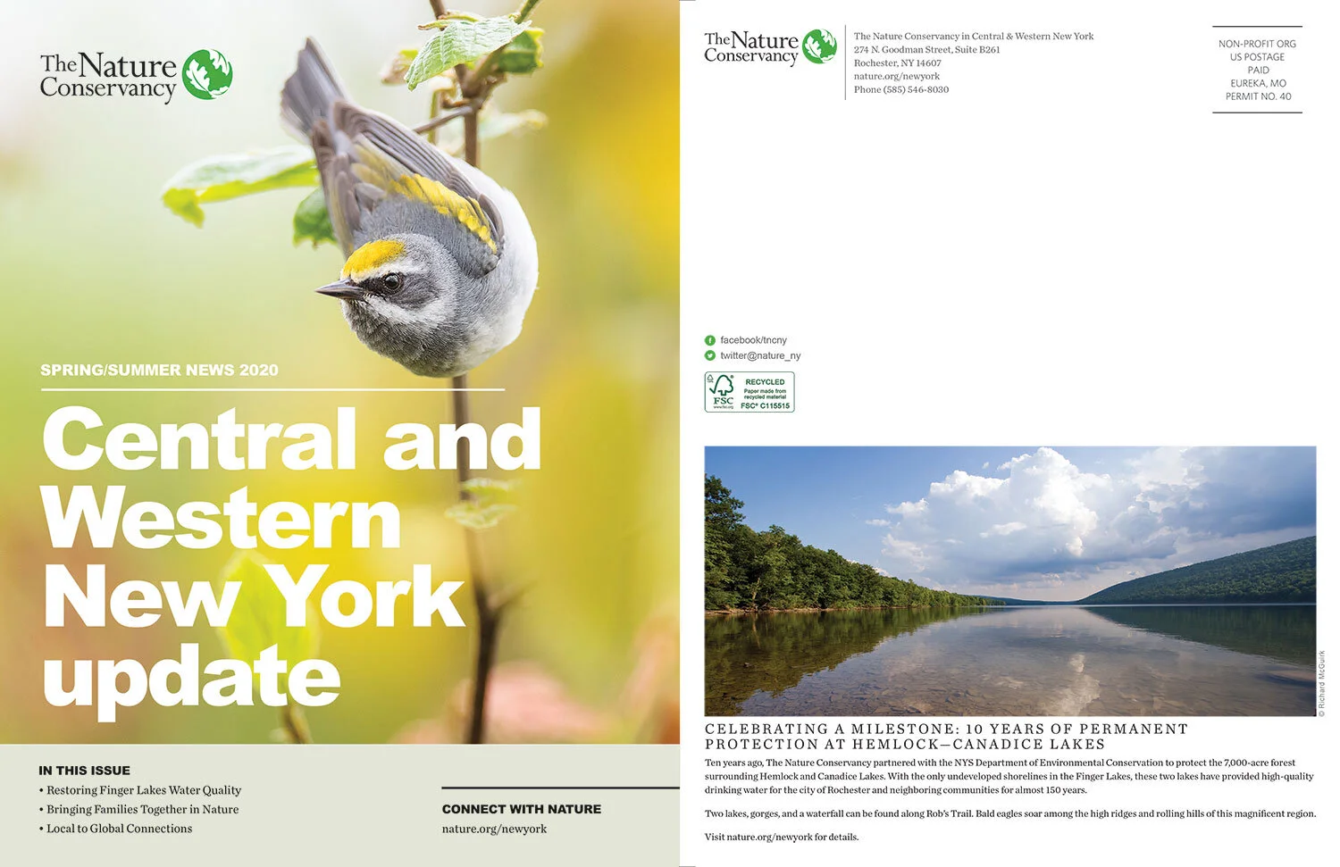 The Nature Conservancy Newsletters — Shelter Island Graphics