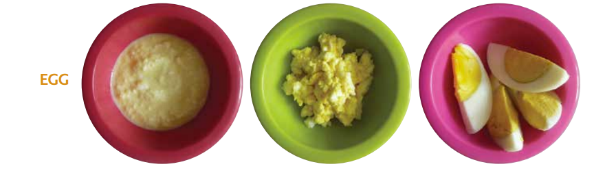 News & Publications — First Steps Nutrition Trust