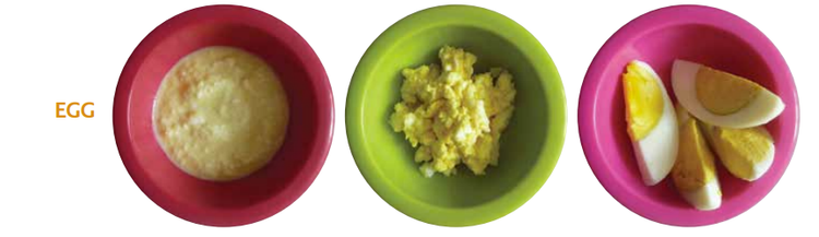 News & Publications — First Steps Nutrition Trust