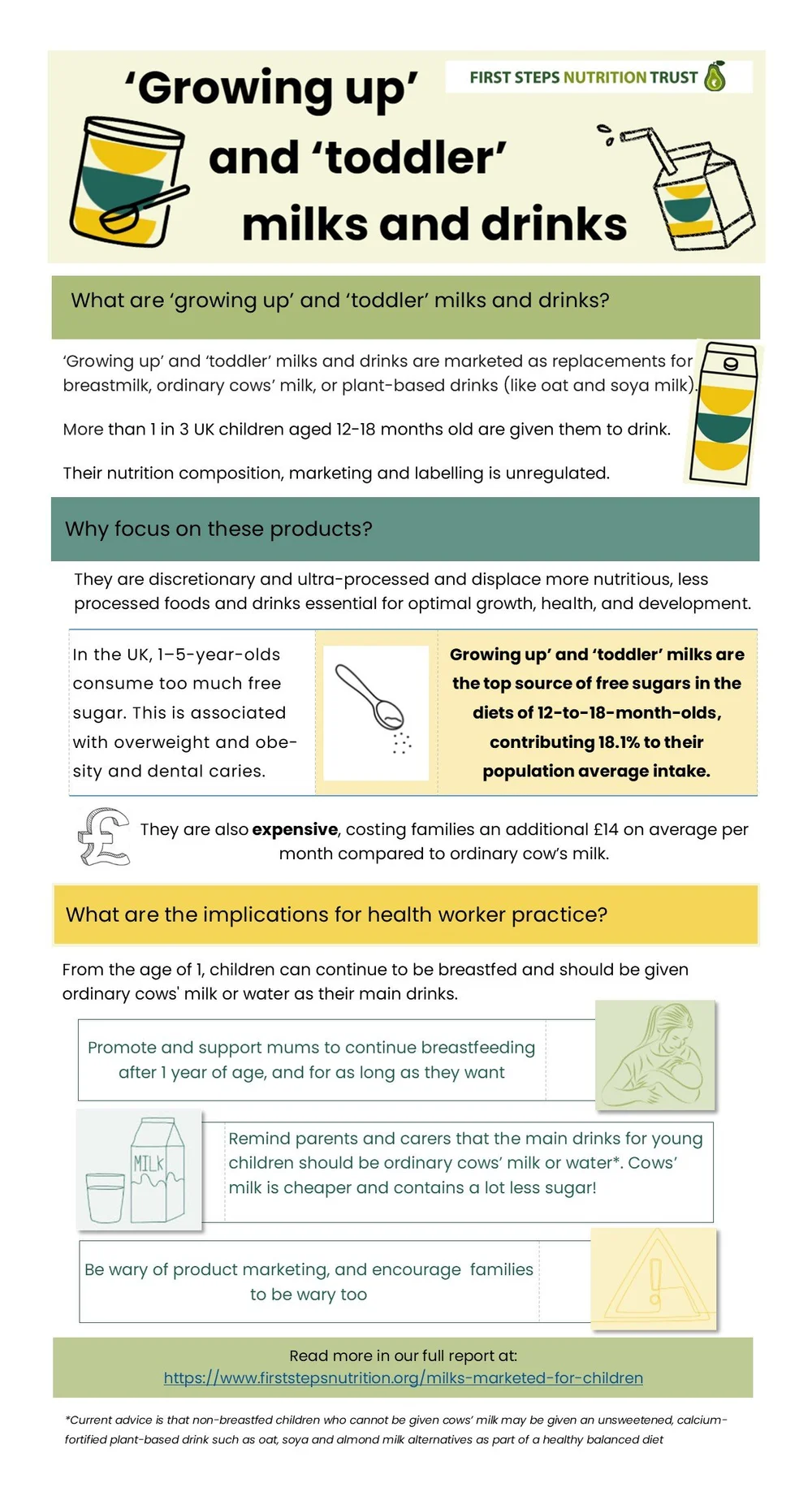 Publications — First Steps Nutrition Trust