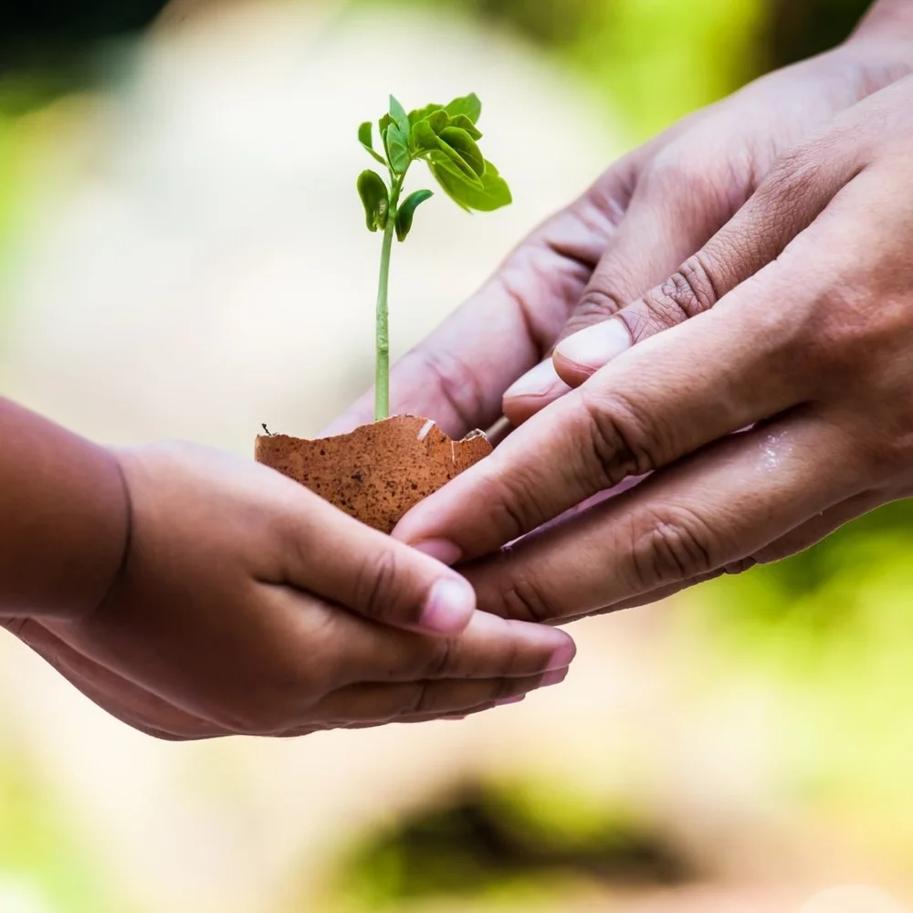 The Early Years — Between Parents