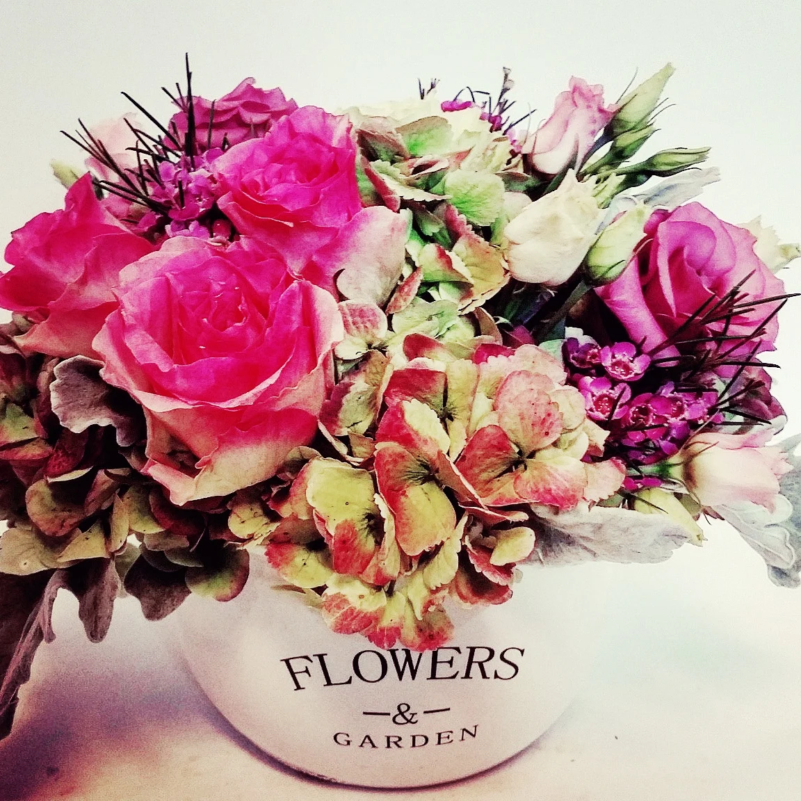 Signature Collection — Hengstenberg's Florist