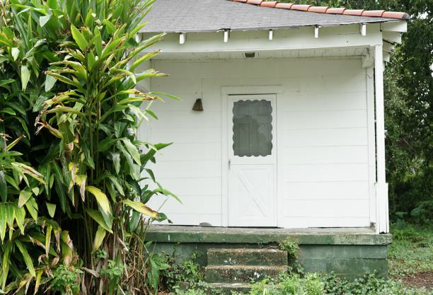 Improving the Physical Environment of Neighborhoods to Improve Resident ...