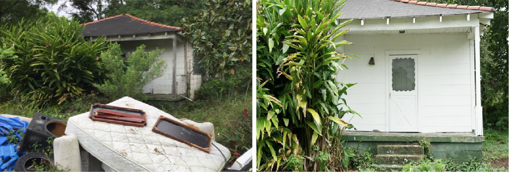 Improving the Physical Environment of Neighborhoods to Improve Resident ...