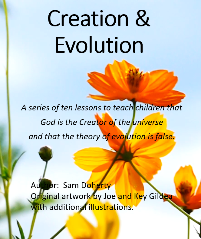 Creation & Evolution — Revival Movement Association