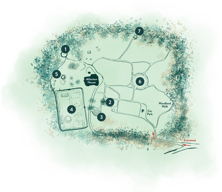 Practice Overview — ALLANTON PEACE SANCTUARY