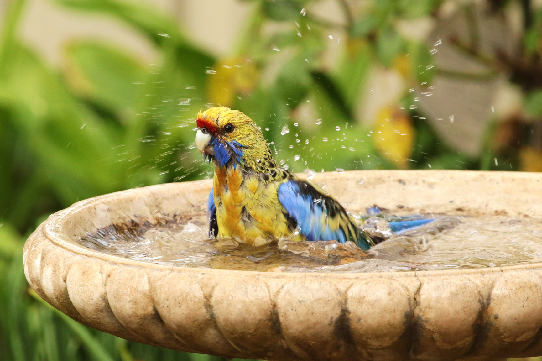 Ardlethan — Visit Coolamon Shire