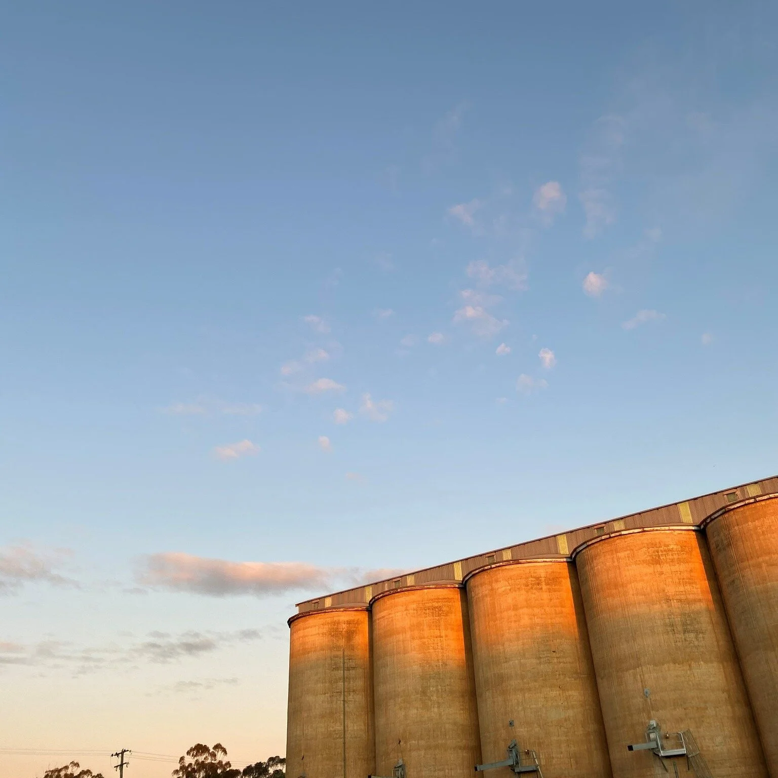 Ardlethan Wellness Day — Visit Coolamon Shire