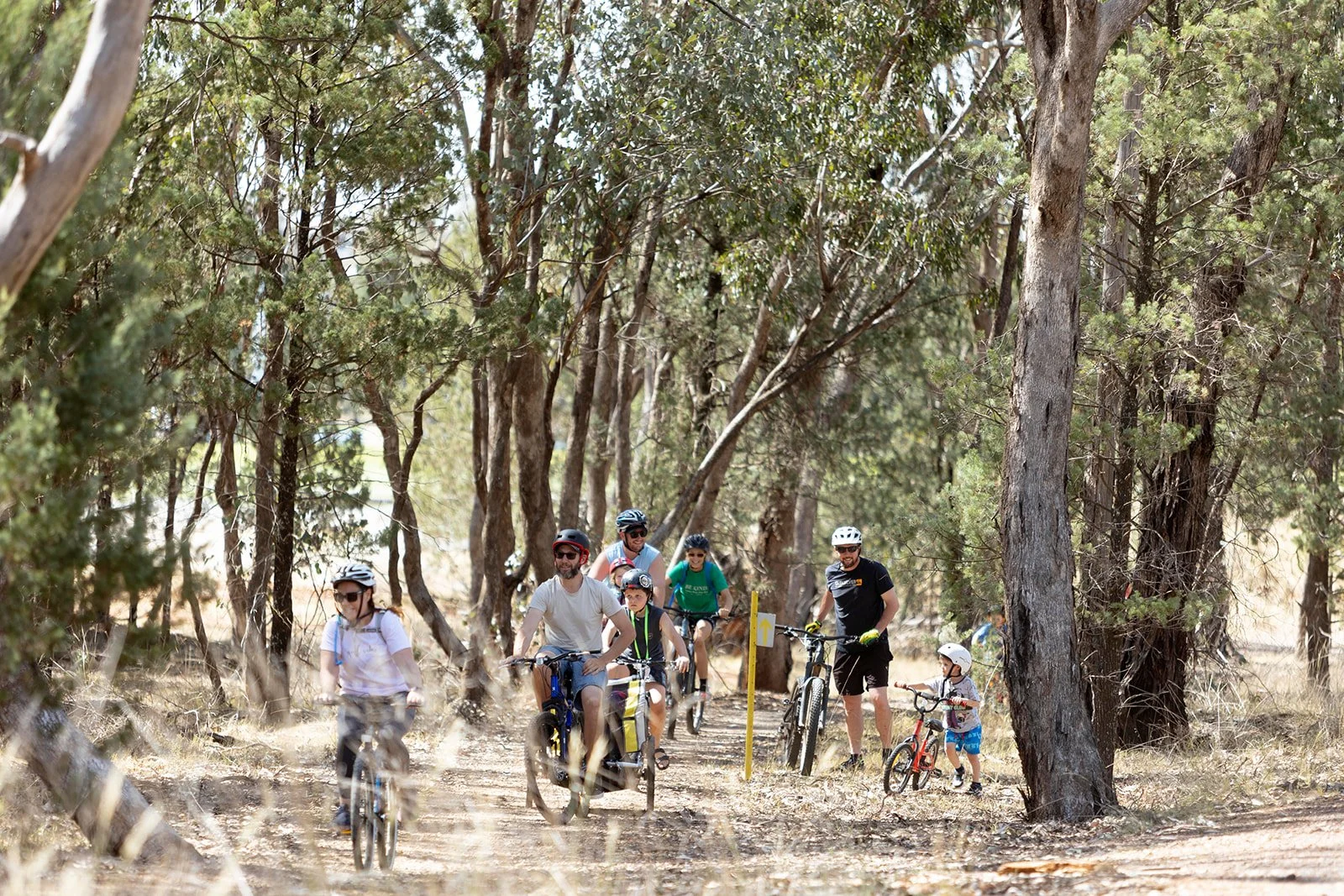 Visit Coolamon Shire