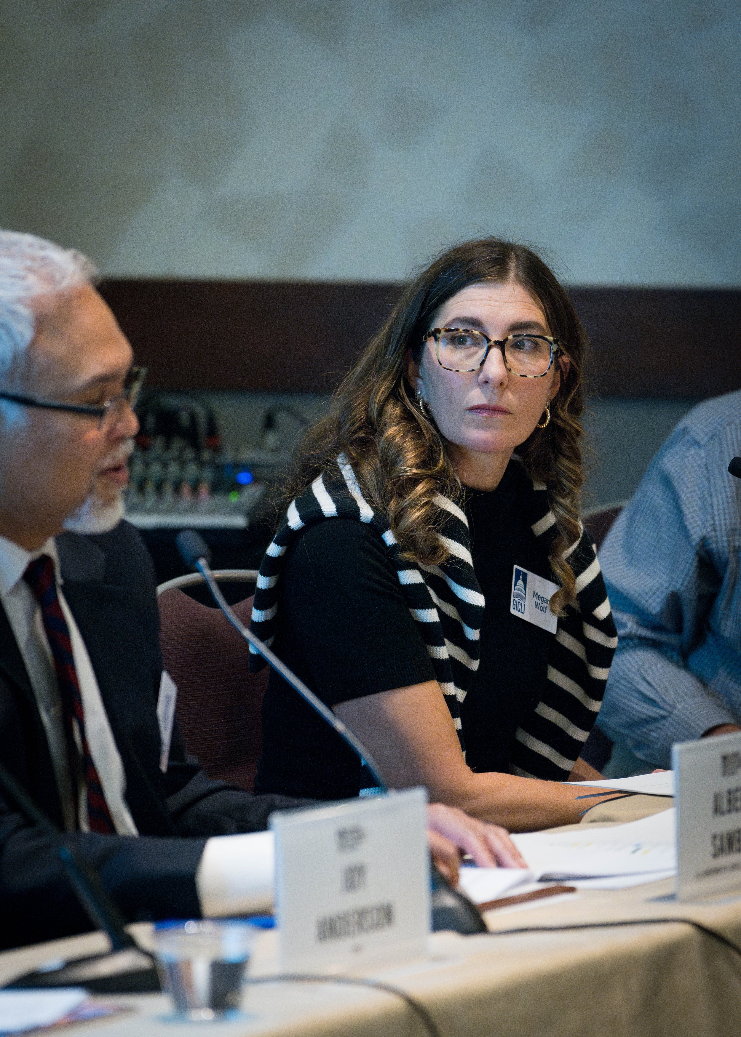 About the Meeting — GICLI