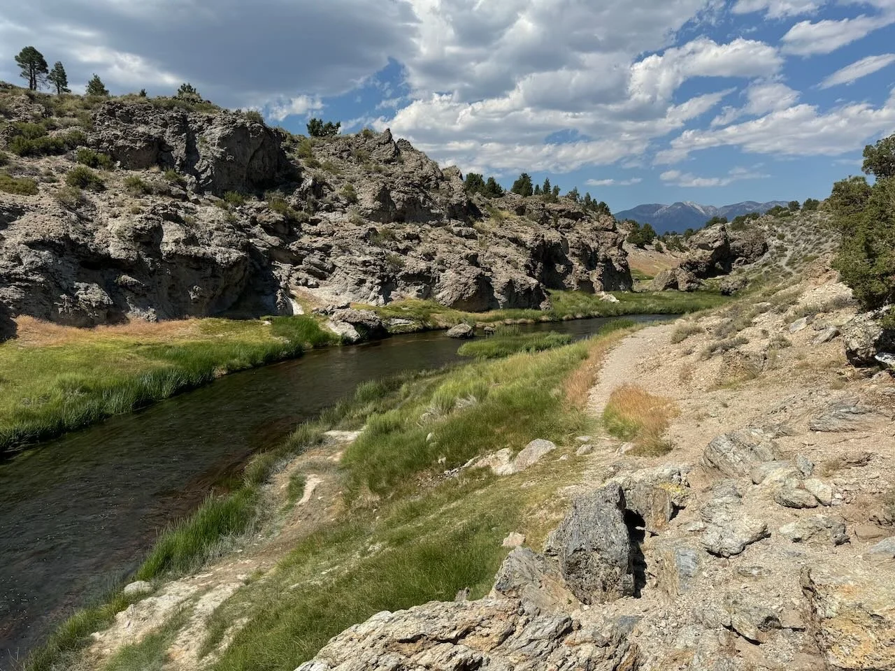 Fly Fishing Report — Sierra Bright Dot