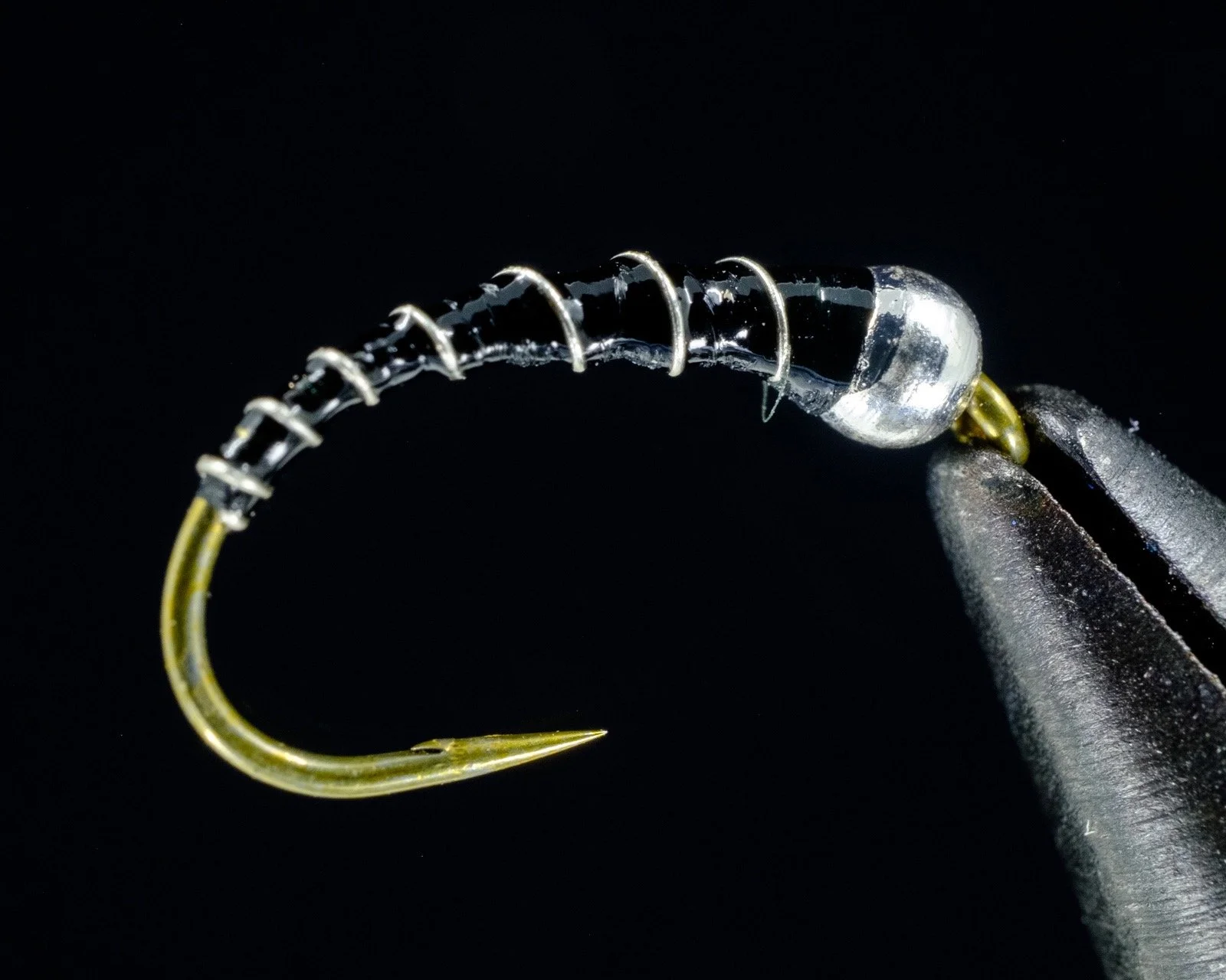 Sierra Bright Dot Fly Fishing Report 02-02-2024 — Sierra Bright Dot