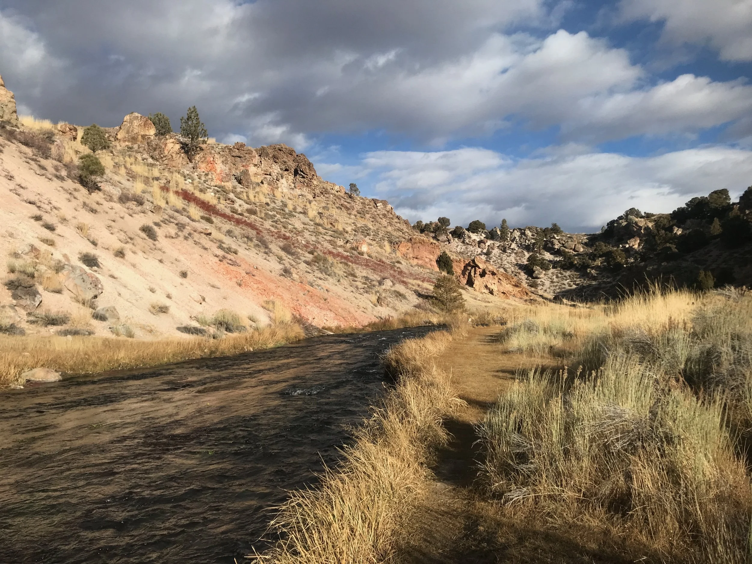 Fly Fishing Report — Sierra Bright Dot