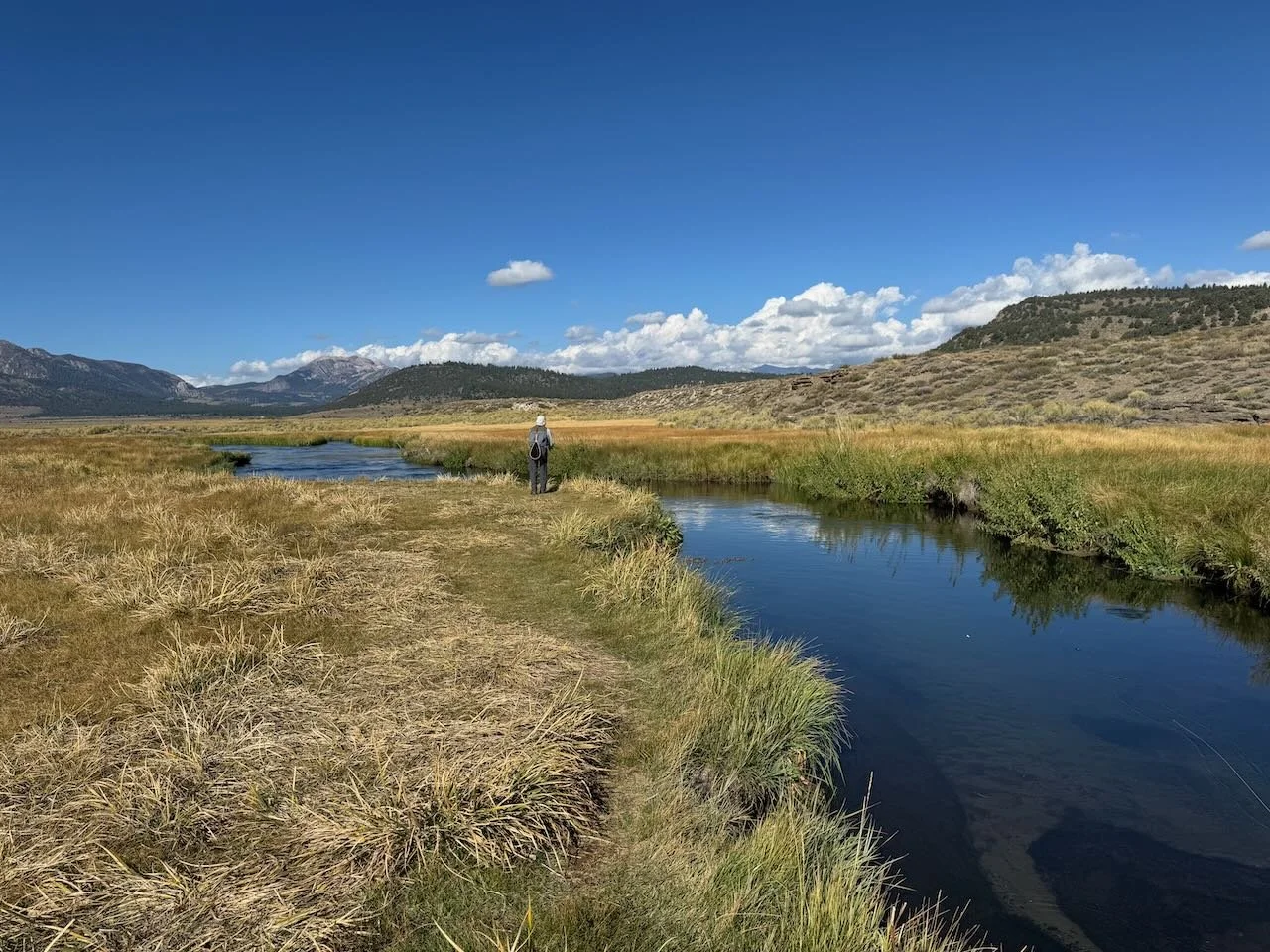 Sierra Bright Dot Fly Fishing Report 10-02-2025 — Sierra Bright Dot