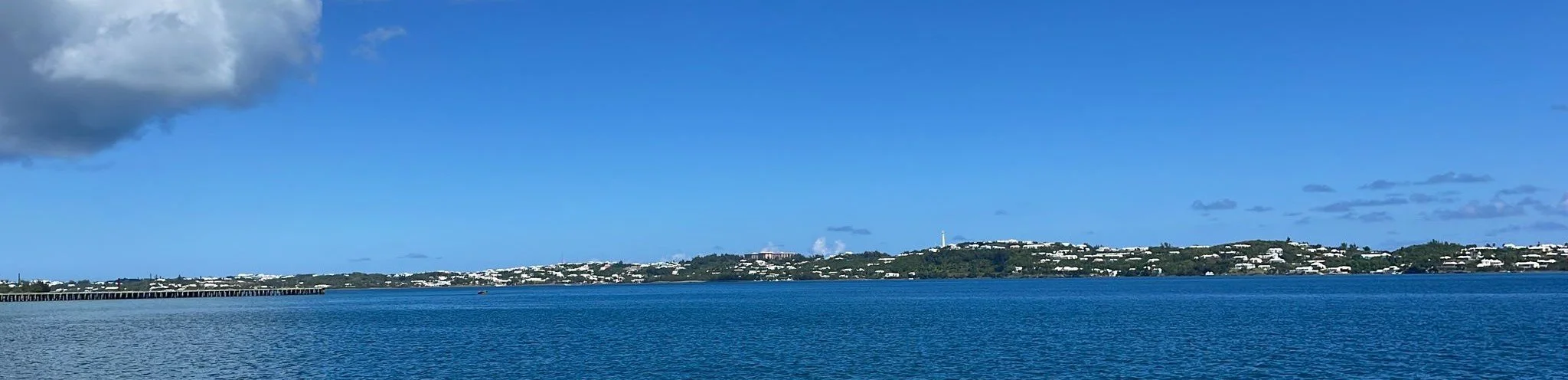 Squid Pro Quo — Bermuda Open Water
