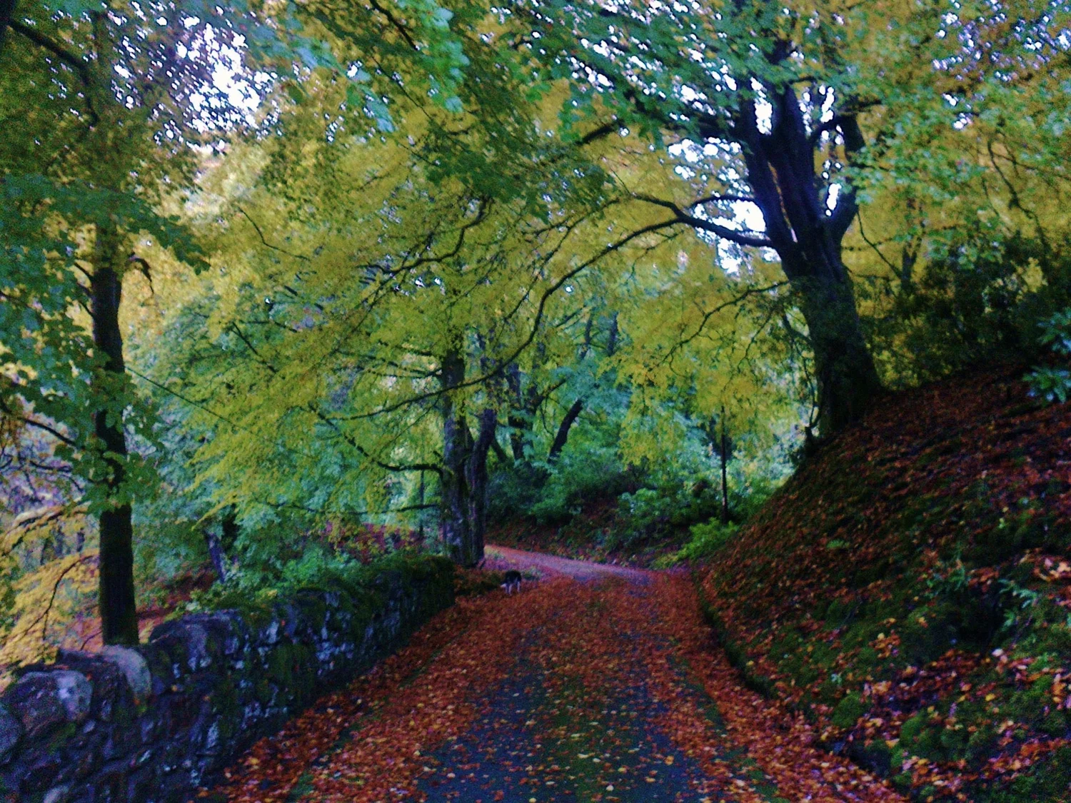Tours with walks in Scotland's Highlands & Islands Walks in Scotland's ...