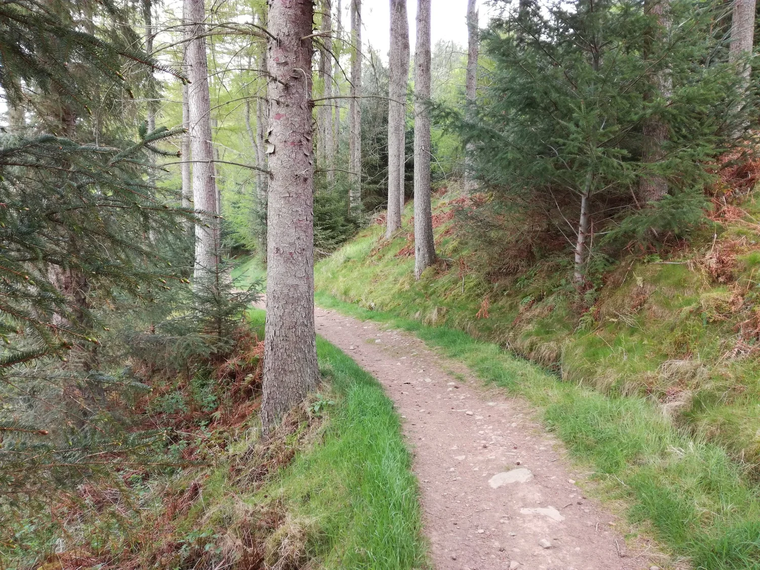 Tours with walks in Scotland's Highlands & Islands Tour and walk ...