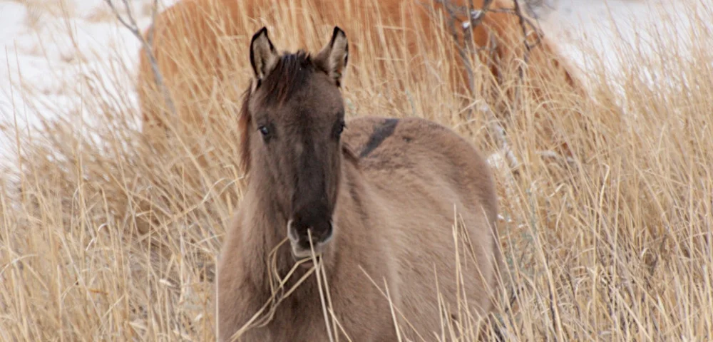 BELOW ZERO: A Story of Survival — The Cloud Foundation