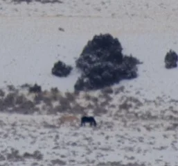 BELOW ZERO: A Story of Survival — The Cloud Foundation