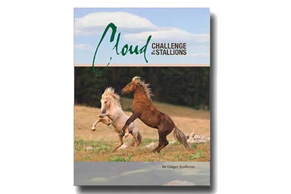 TCF Store — The Cloud Foundation