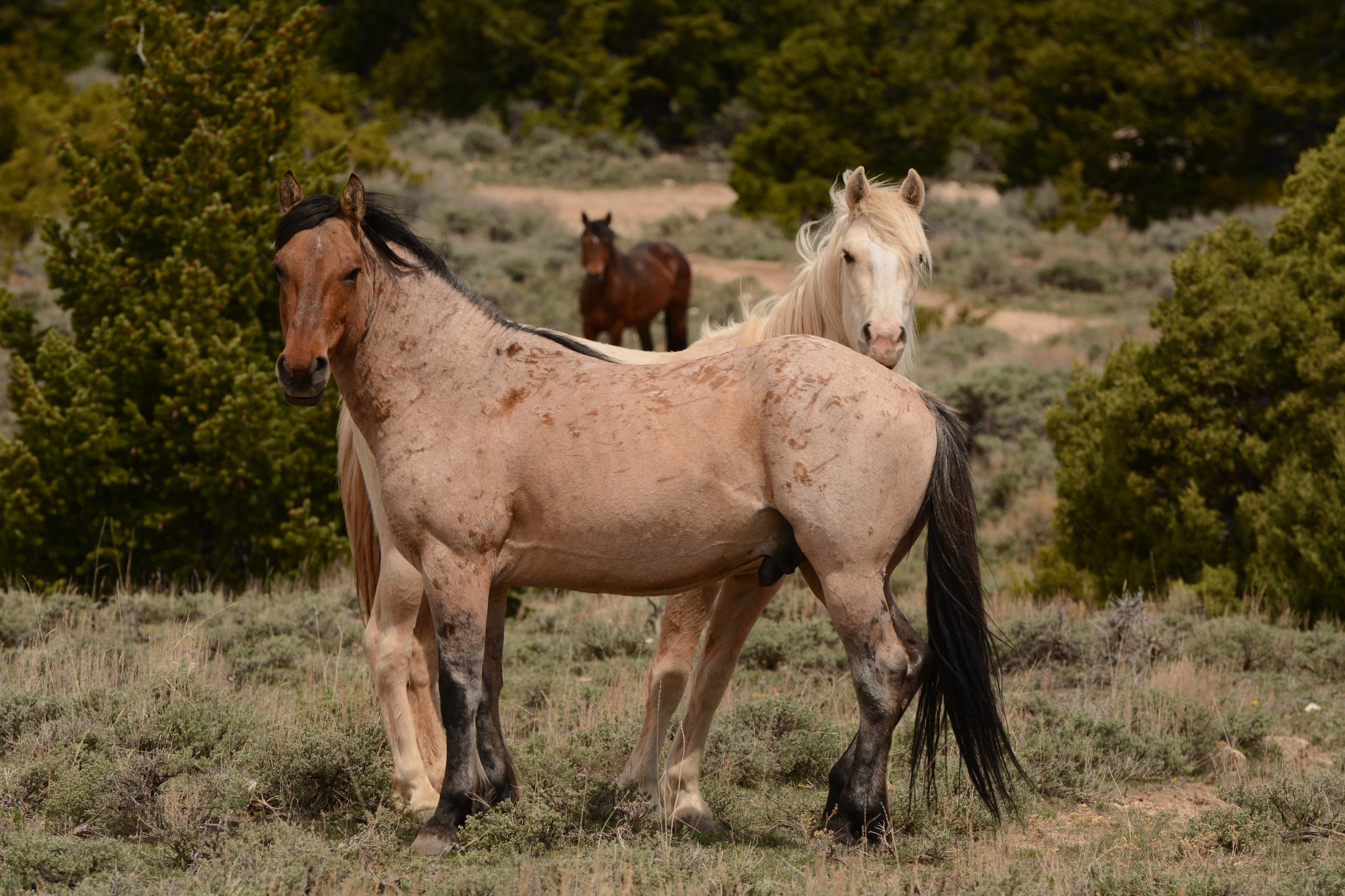 The Cloud Foundation