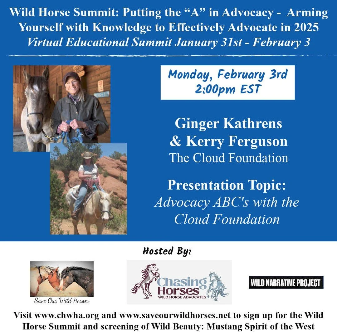 Wild Horse Summit 2025: Jan. 30 - Feb. 3. 2025 — The Cloud Foundation