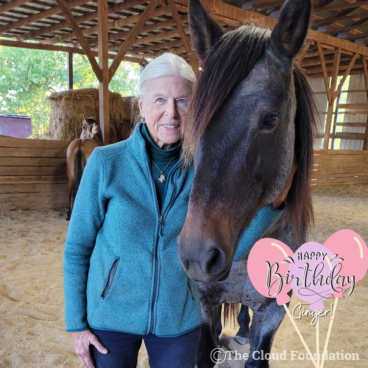 Happy Birthday, Ginger! — The Cloud Foundation