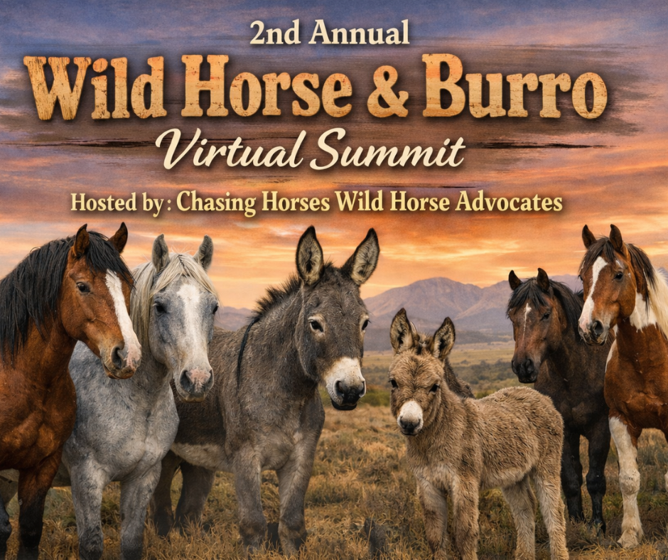 2ND Annual Wild Horse & Burro Virtual Summit — The Cloud Foundation