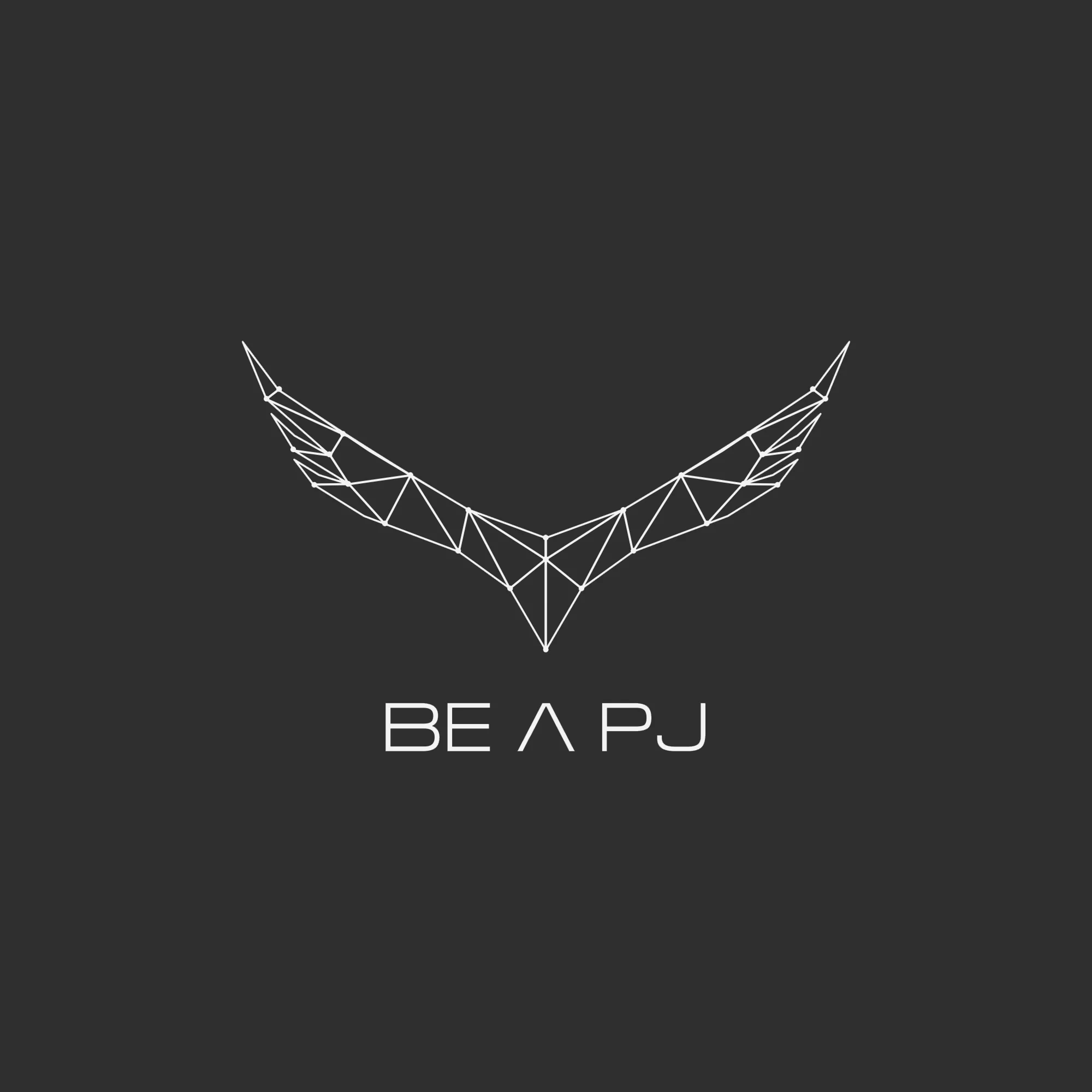 About — BE A PJ