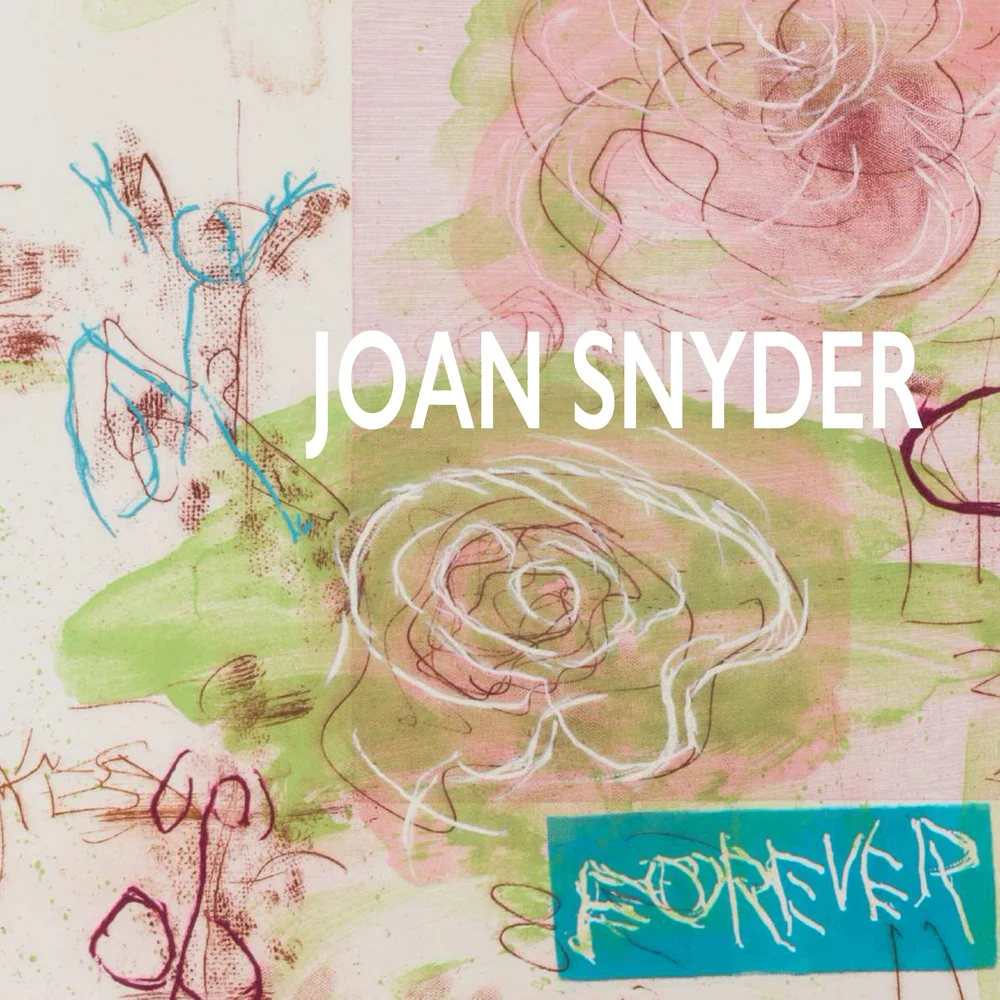 Joan Snyder's Monographs — Joan Snyder