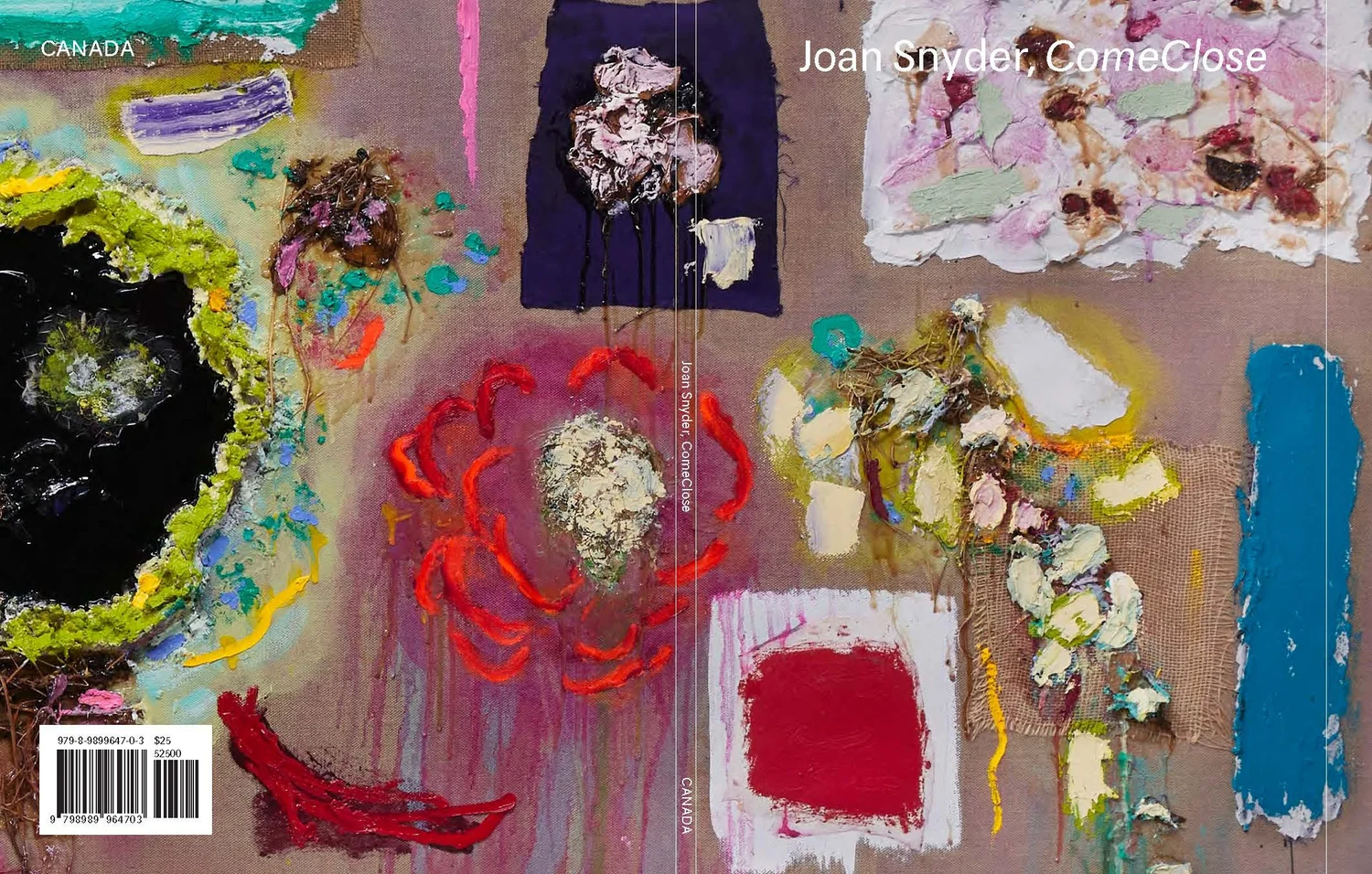 Joan Snyder's Monographs — Joan Snyder