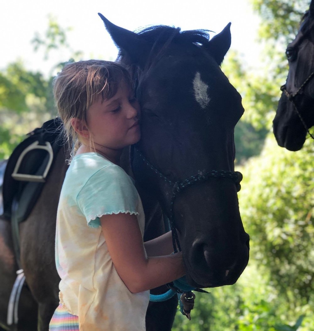 Fees — Byron Bay Equine Therapy & Psychology