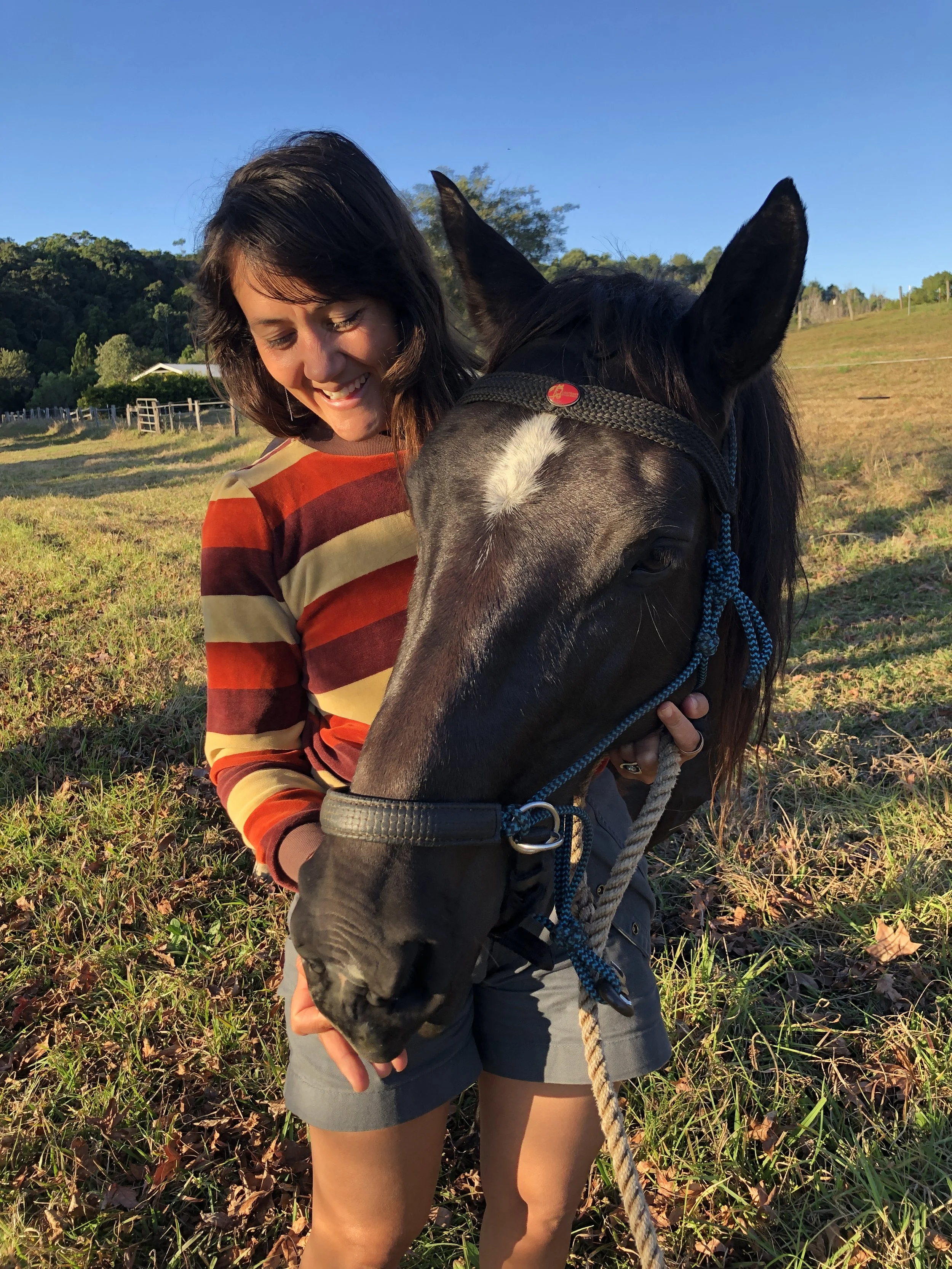 Psychology sessions — Byron Bay Equine Therapy & Psychology
