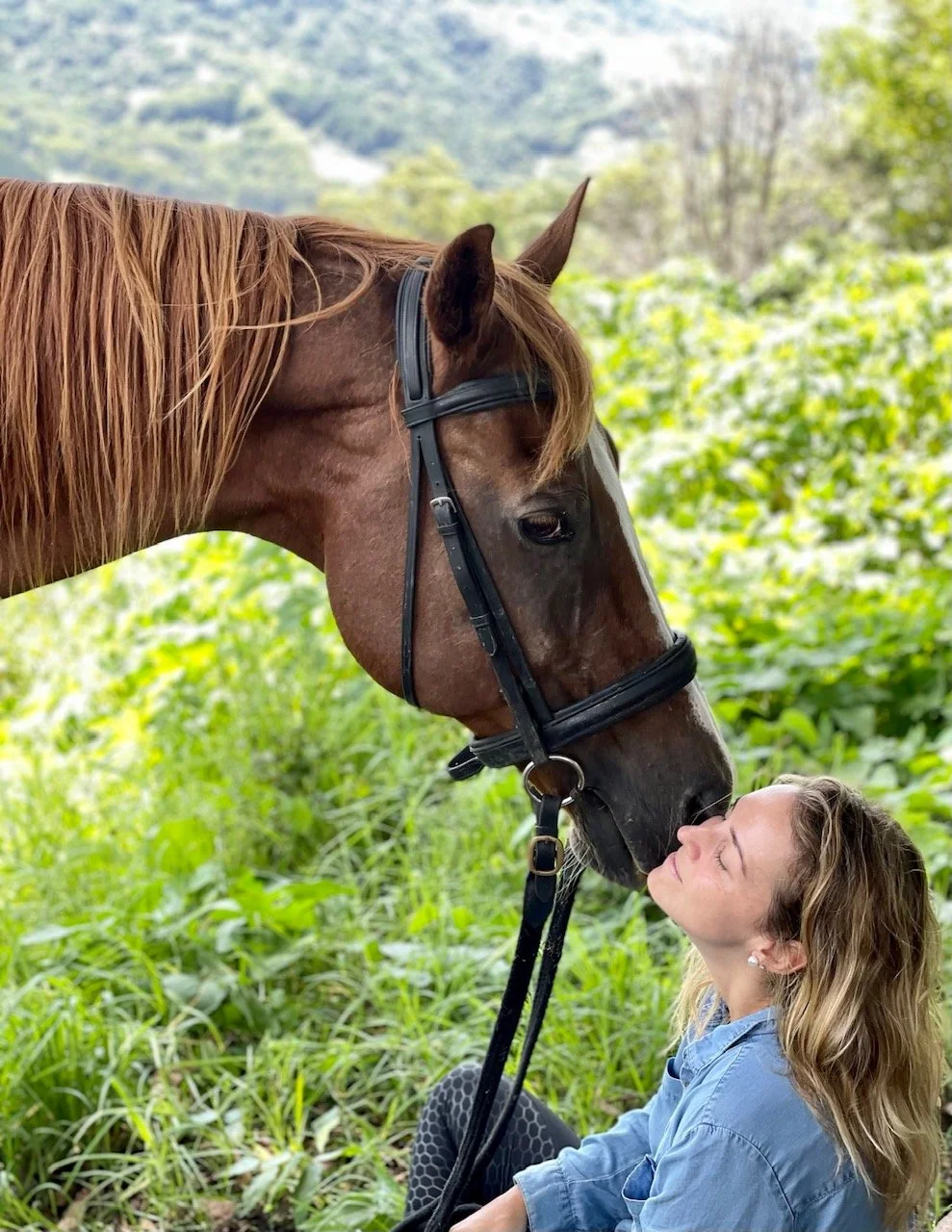 Our Team — Byron Bay Equine Therapy & Psychology