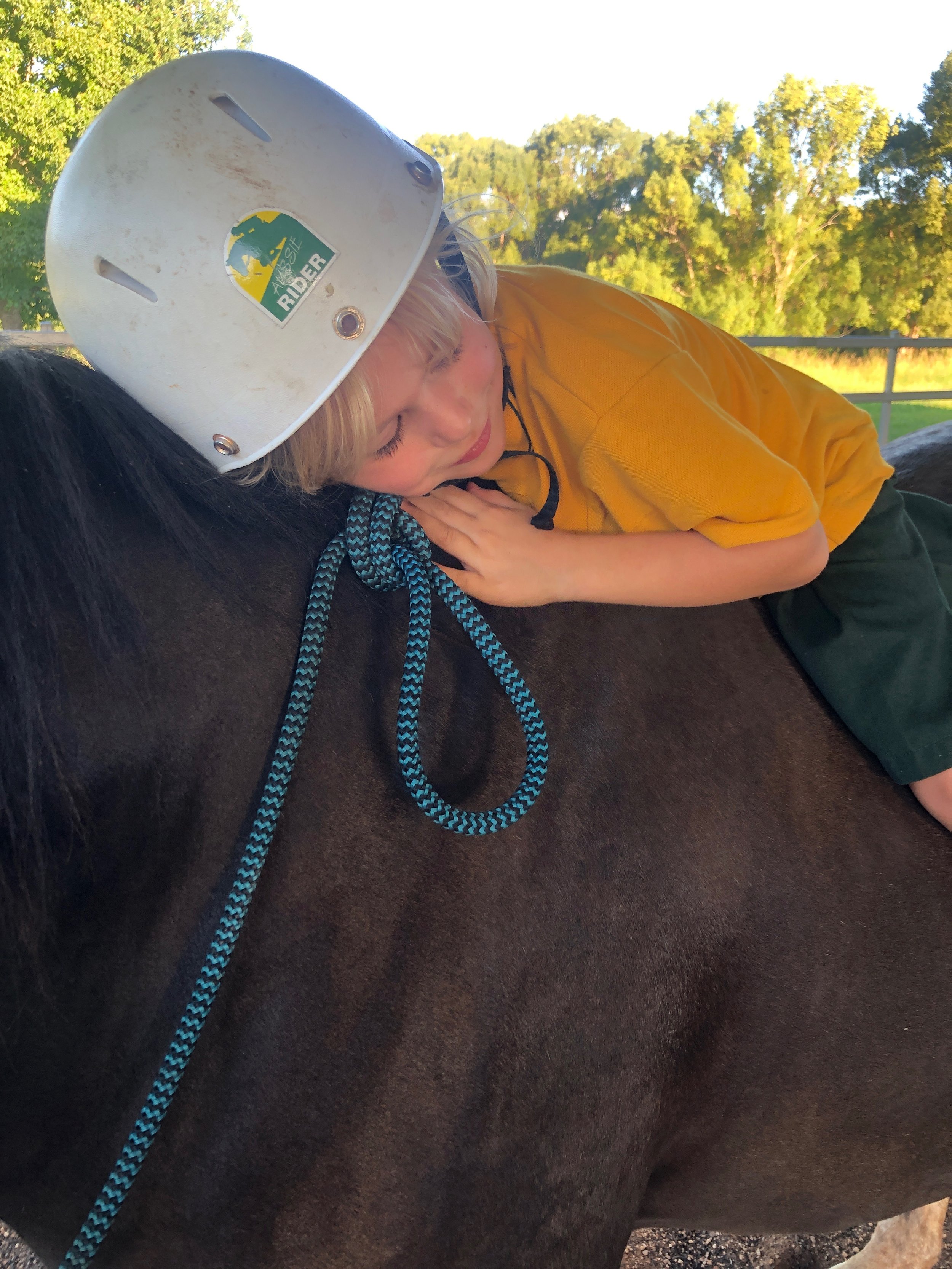 Byron Bay Equine Therapy