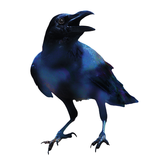 Harriet Tyce | Bestselling Author