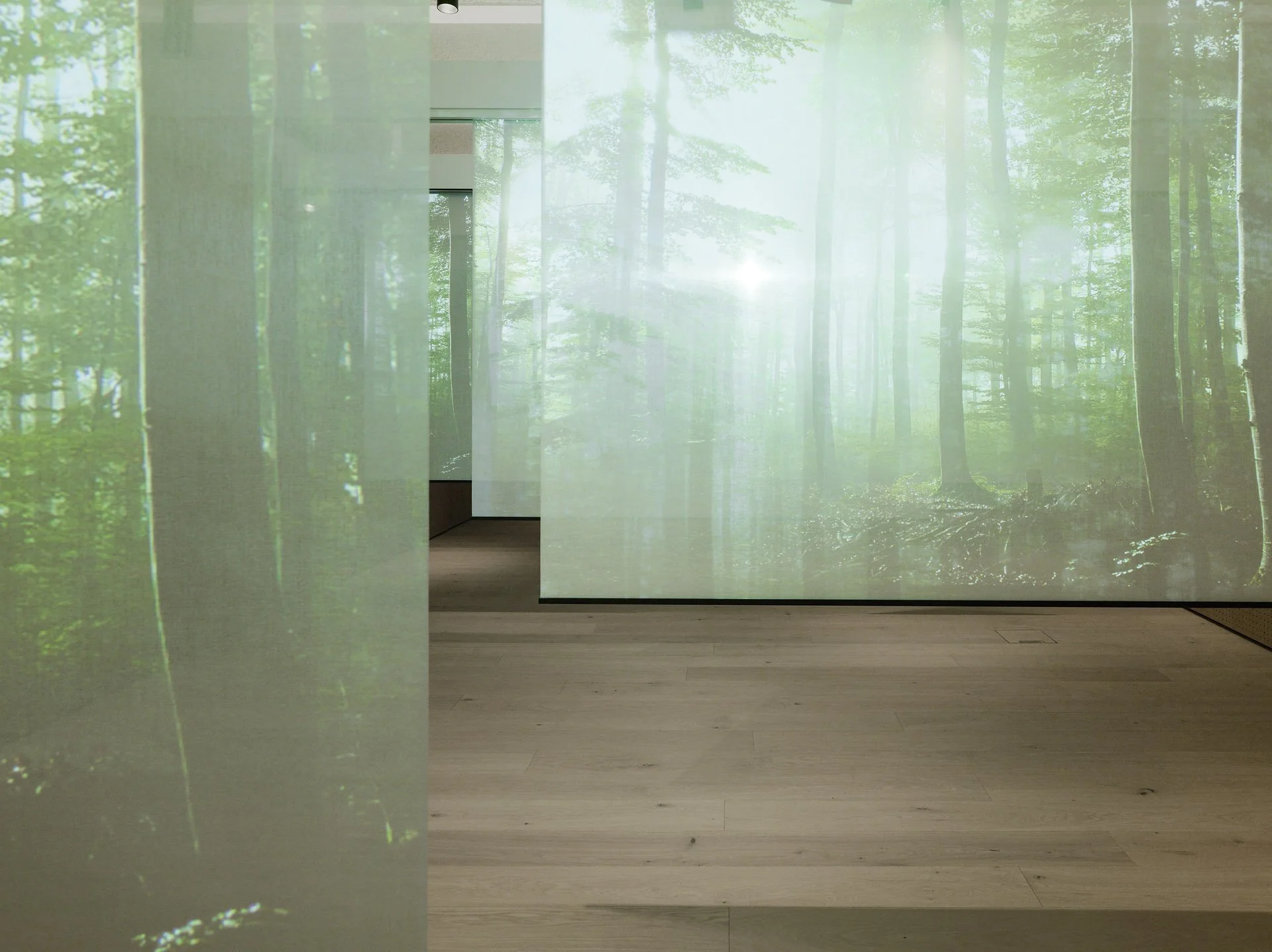 Voice Lift — Amadeus Acoustics