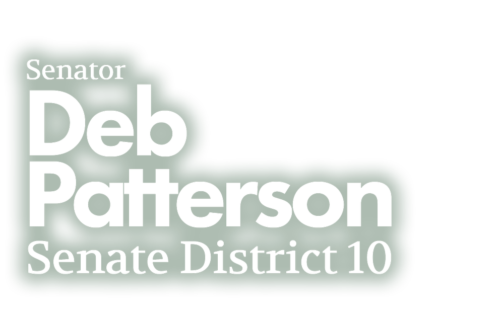 Deb Patterson for Senate District 10