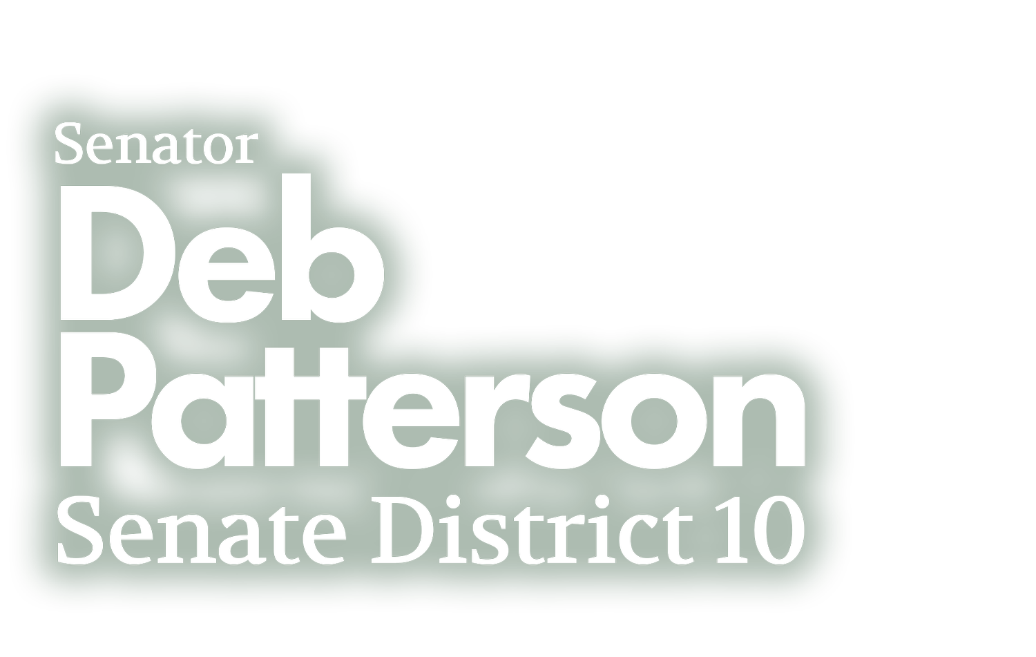 Deb Patterson for Senate District 10