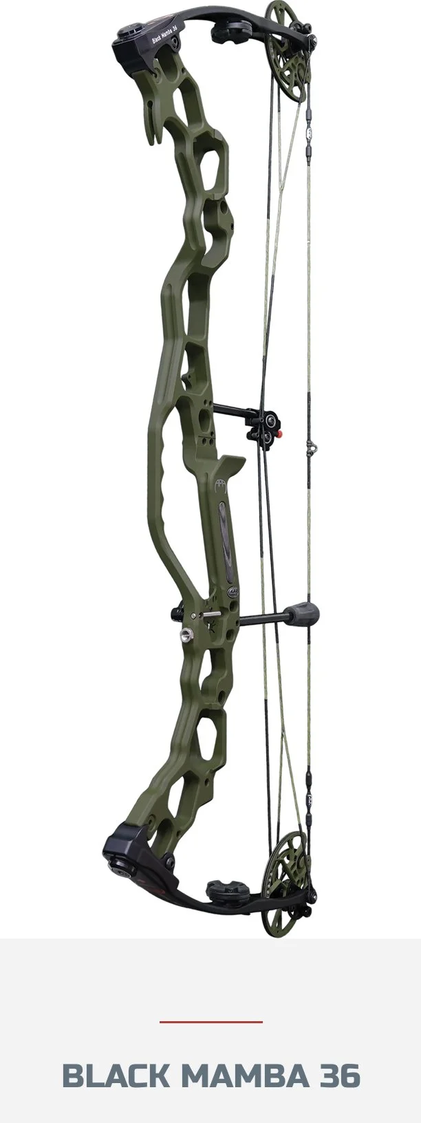 APA Bows — Vital Limits