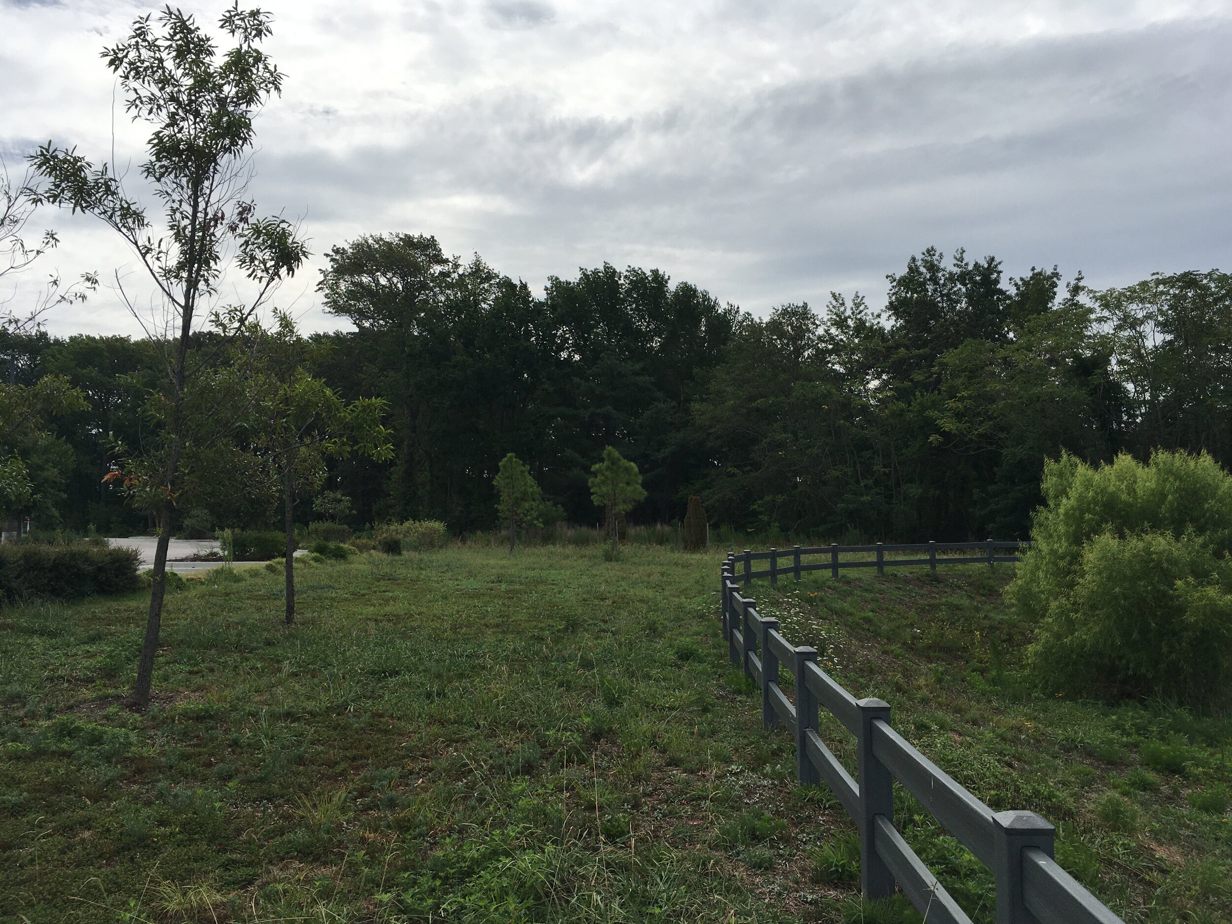 Lake Wright — Birding Virginia